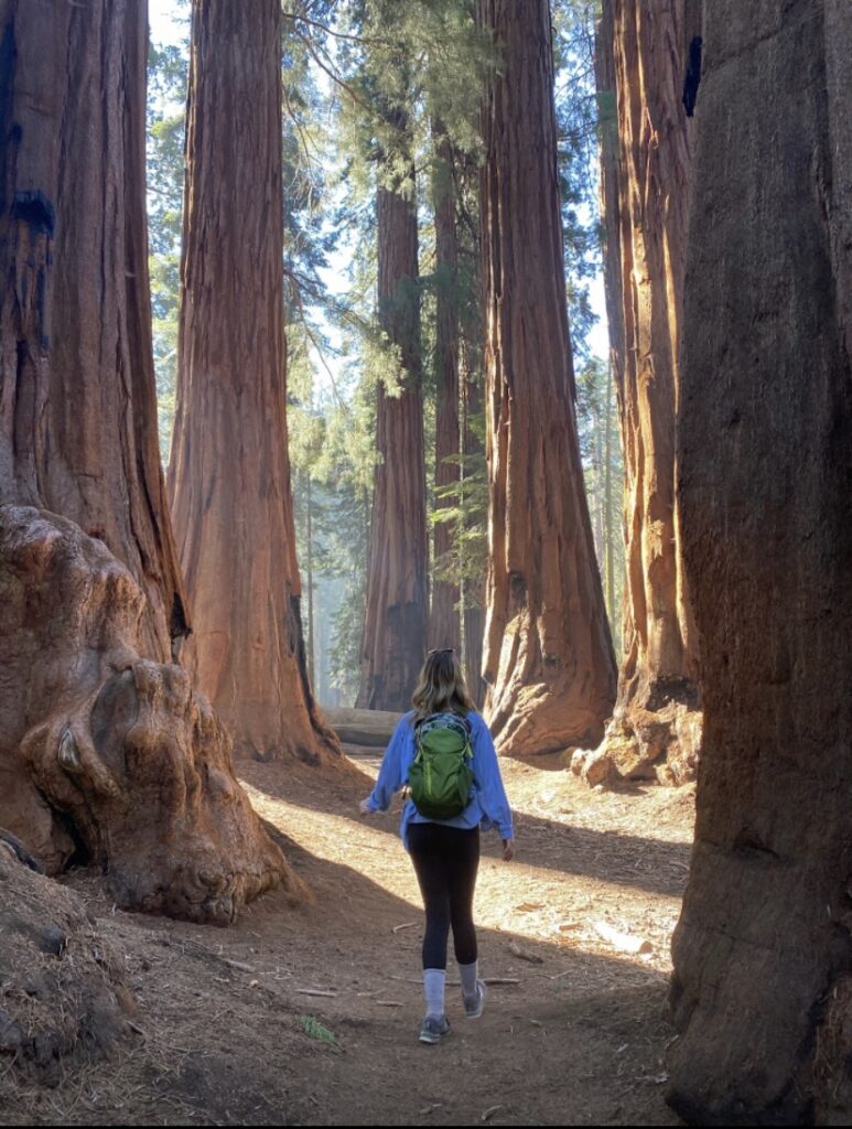 Best Hikes in Sequoia National Park